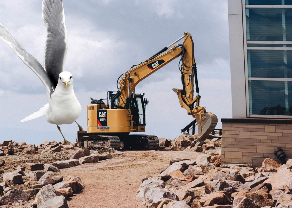 Rätsel-Bilder: Finden Sie die fünf Unterschiede? | Baublatt