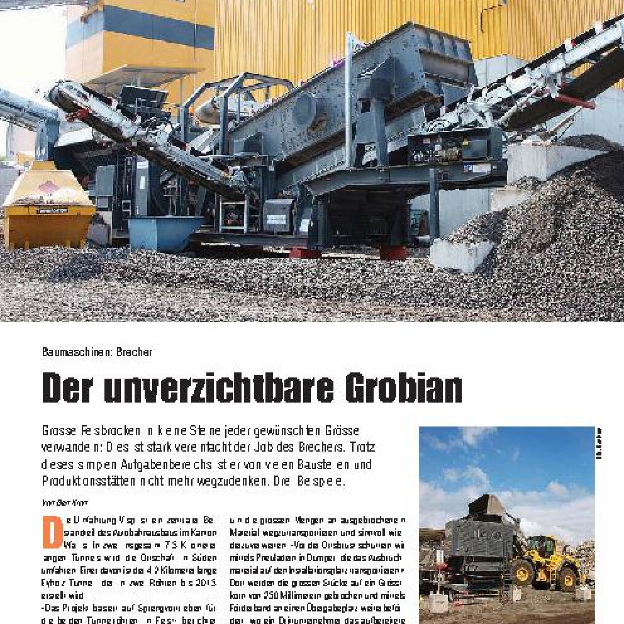 Der unverzichtbare Grobian | Baublatt