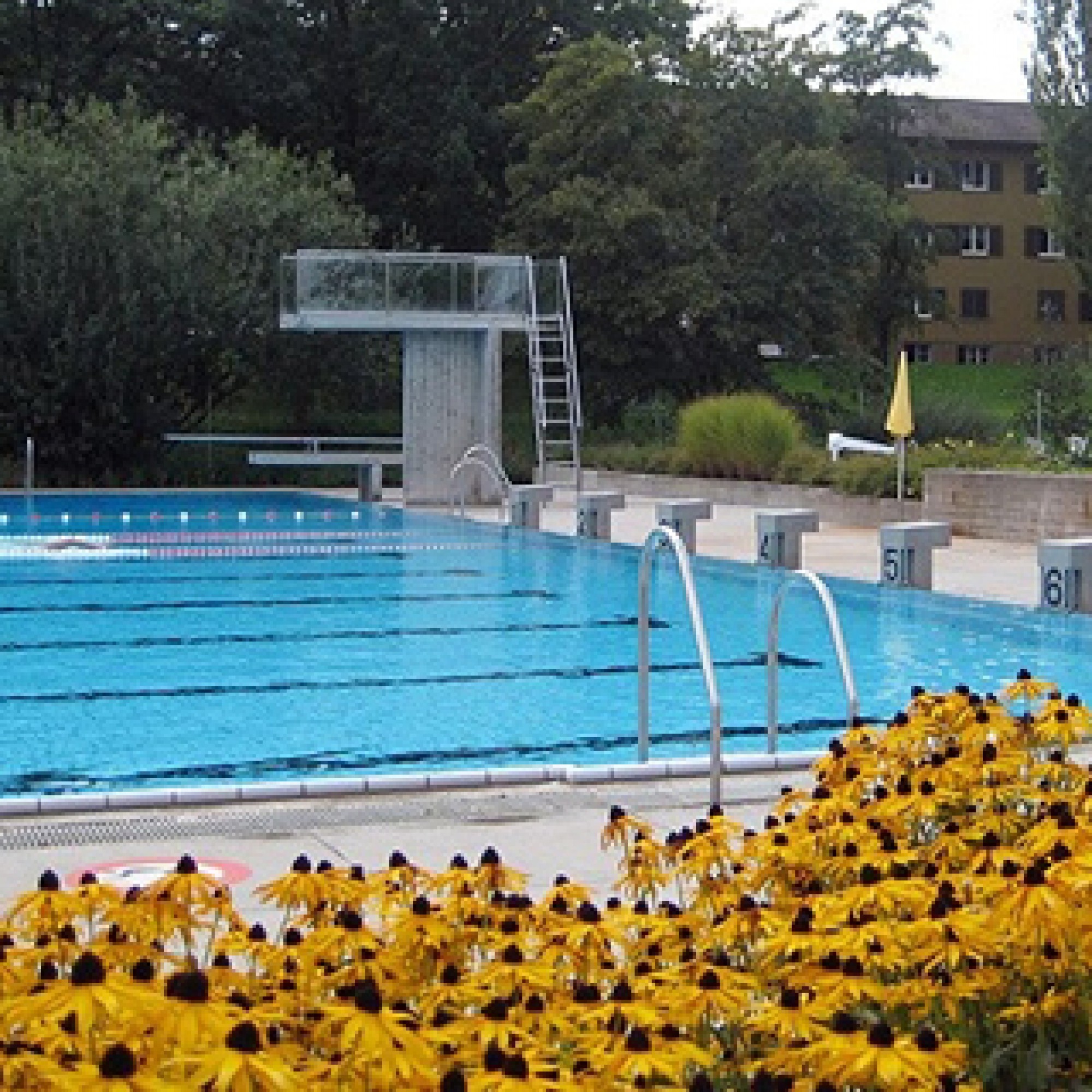 Die Blätter fallen, die Badi Seebach öffnet | Baublatt